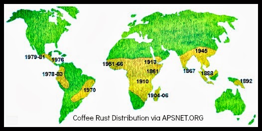 Jay's Strange Blog: Rust is Real