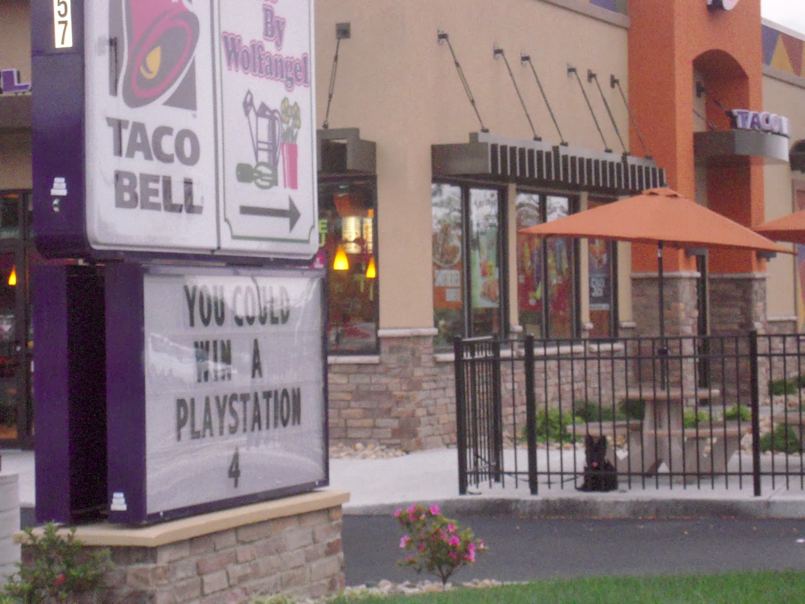 Sweet William The Scot: TACO DAY HURRAY!!!