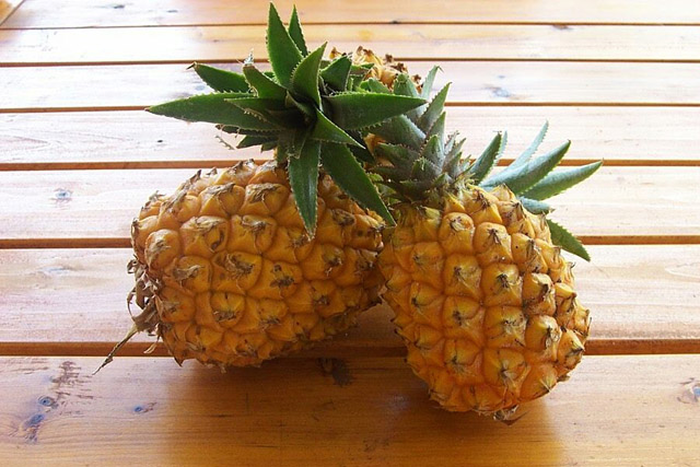 Ananas victoria fruit Île de La Réunion