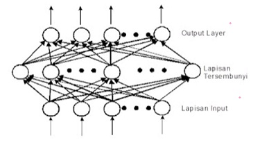 ARTIFICIAL NEURAL NETWORK [ANN] - why