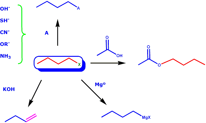Usos e importancia de los Halogenuros de Alquilo: junio 2011
