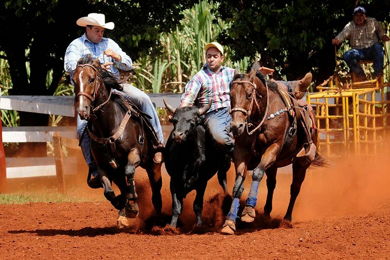Amigo dos Rodeios: Treino Rancho Santa Fatima - Bulldog