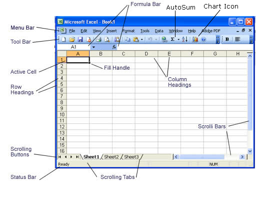 Sawyer Computer Class Units: Charting Excel Unit, 4th & 5th