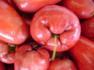 Al Biruni Herbal | Sentra pengobatan alami Attibun Nabawi