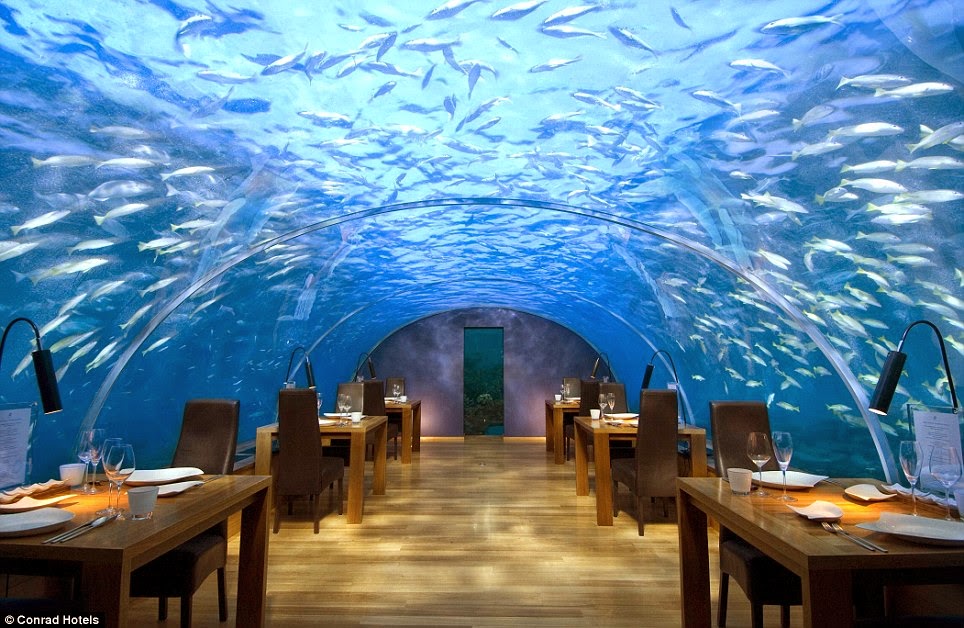 Welcome to Sweet Dinma's Blog: The World's First Underwater Restaurant