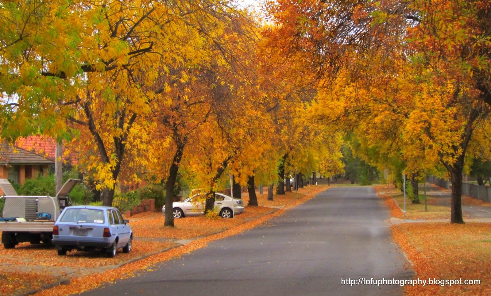 Tofu Photography: Autumn magic in Canberra