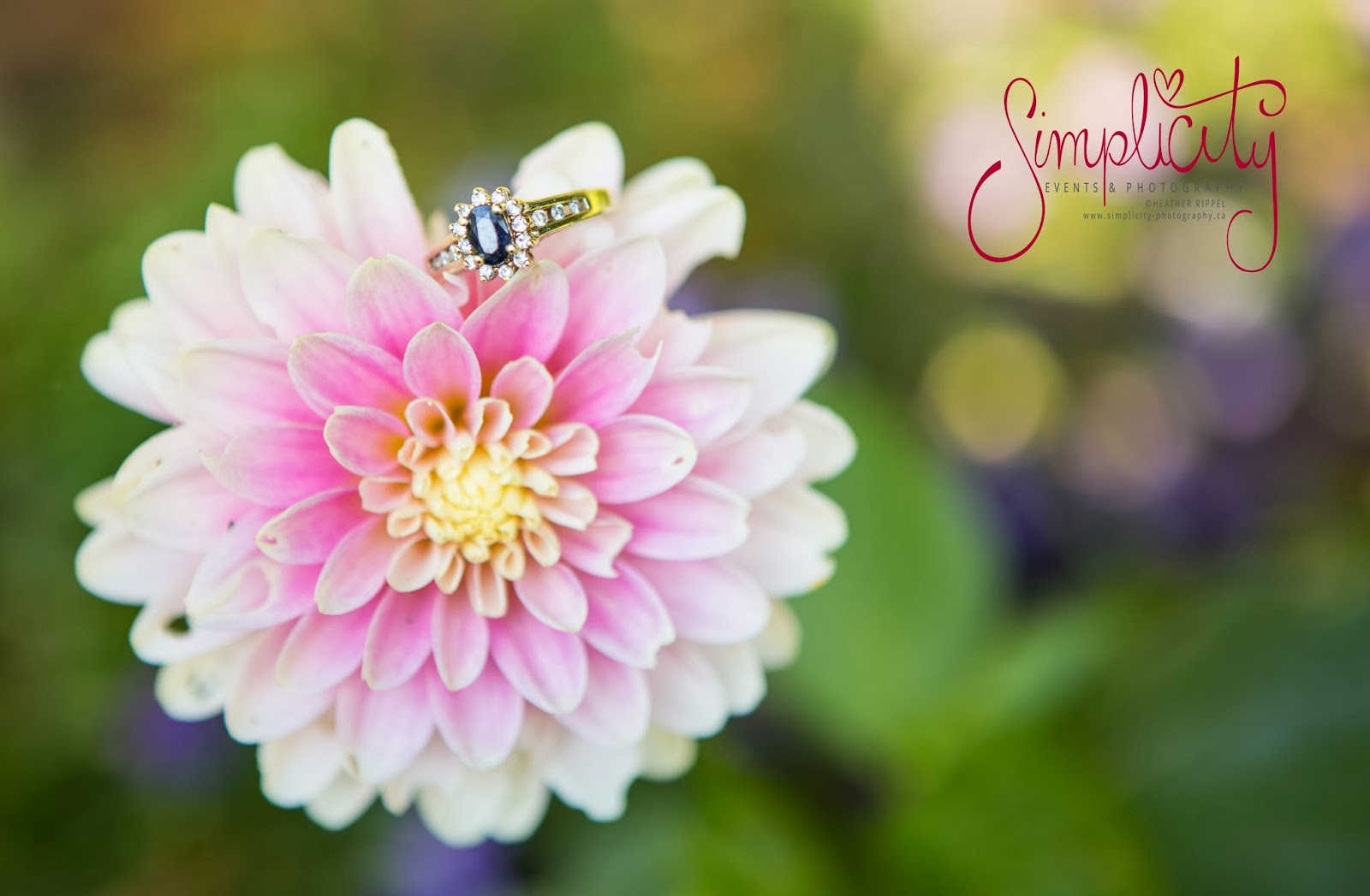 Simplicity Photography