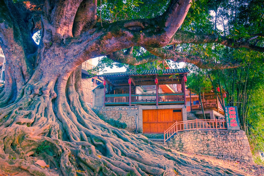 Camera & Photography Related: Beauties of Yunnan Wenshan In the Camera ...