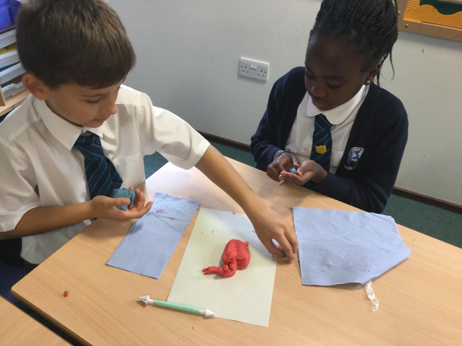 Windhill21: Year 6 Science - The Anatomy of a Heart
