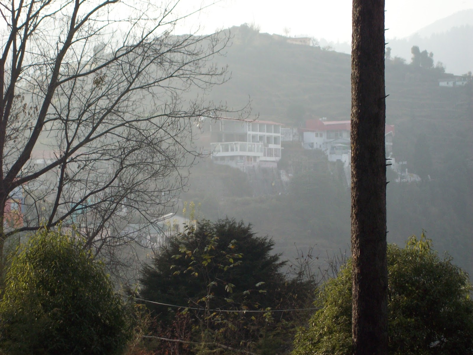 CHINAR SHADE : PHOTOGRAPHS OF A RECENT VISIT TO MUSSOORIE AND DHANAULTI ...