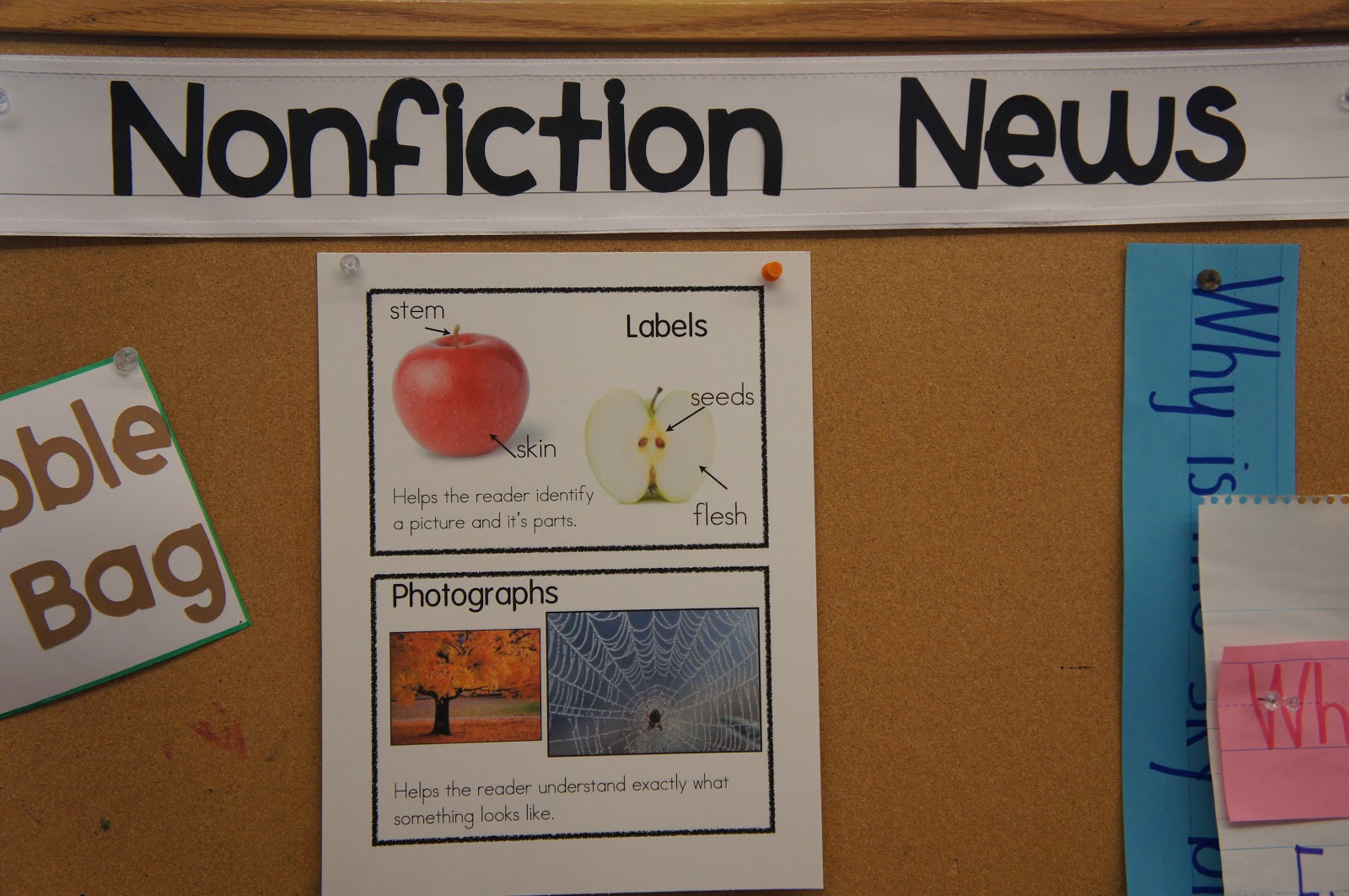 KC Kindergarten Times: This Week In KC