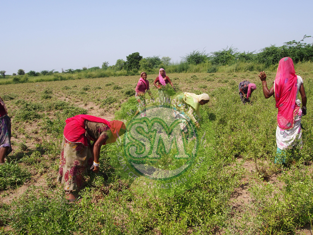 S. M. Heena Industries