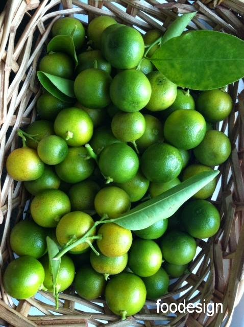 Calamansi Harvest Time - Twin Fruit