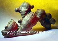 APHROMAX - The Latest, MostPowerful Men Sexual Health Supplement