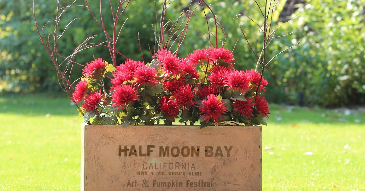 Bliss Ranch: Pine Box with French Lime Paint