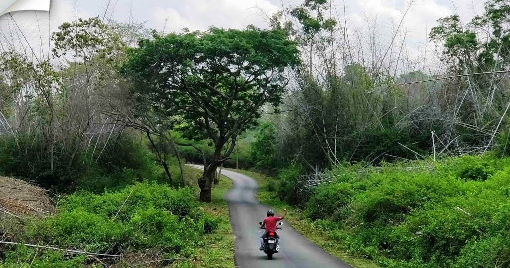 Bettamugilalam and Panchapalli Dam - A ride through the forest 13/05/2018