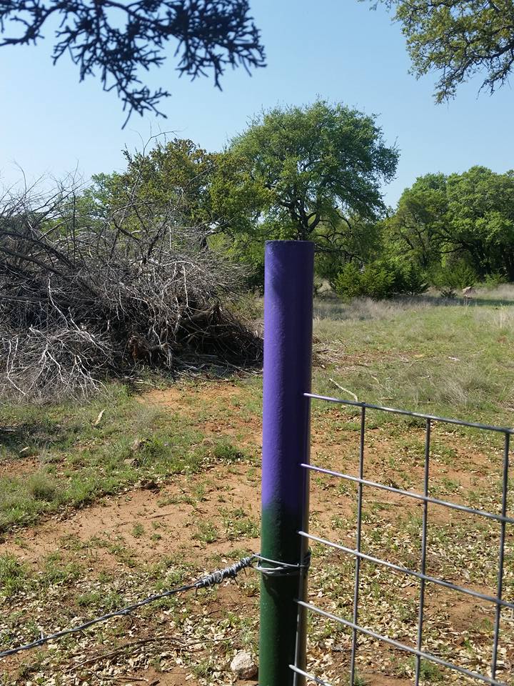 Purple Fence Posts in Texas - Always On Liberty