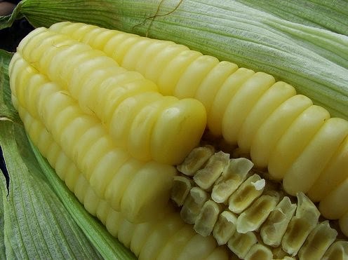 entrevista postres: LA CHUCHUCA...