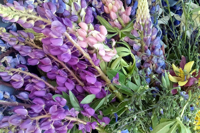 Stardust Designs: The Lupine Lady