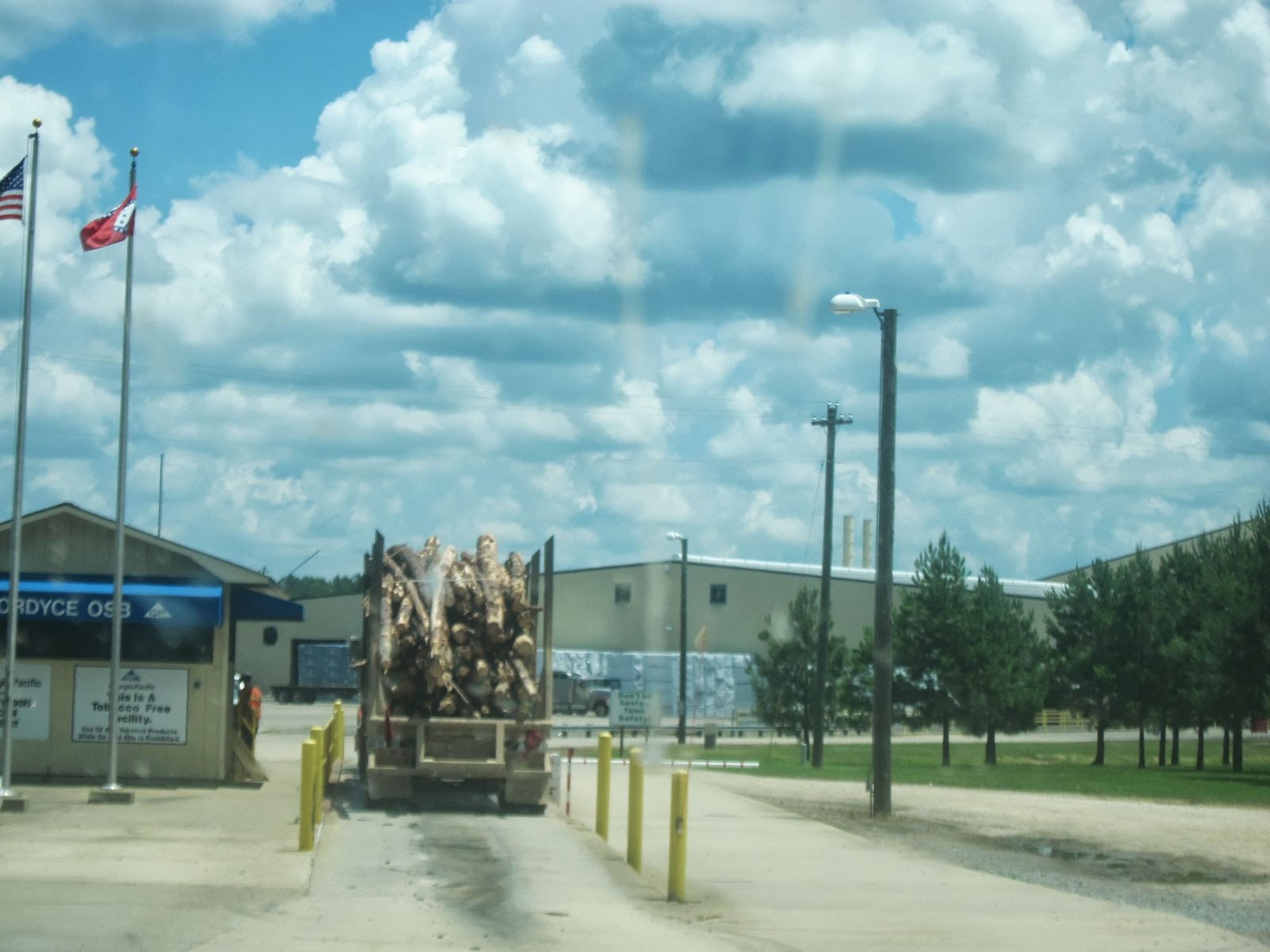 Expeditions by Tricia: ARKANSAS TIMBERLANDS EXPEDITION