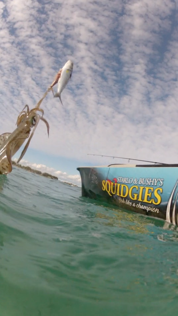 kayak Fishing - Love that yak: Squid Fishing in the Hobie Kayak at Wallaroo
