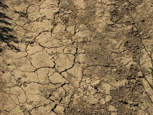 Tanah Ekspansif Adalah - Perumperindo.co.id