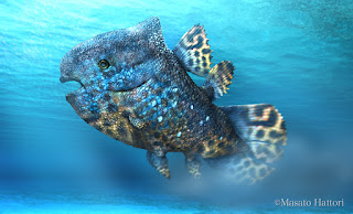 Marchan Blog: フォレイア Foreyia maxkuhni