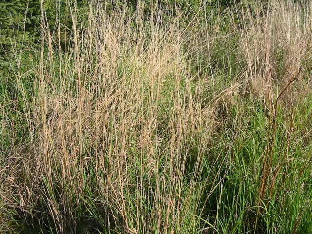 Off-Grid in Alaska: June 2013