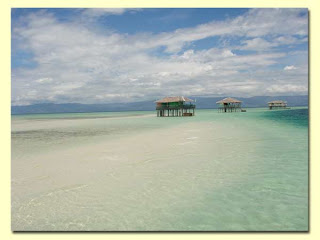 Mae blog: Bais Dolphin and Whale Watching, and Sand Bar