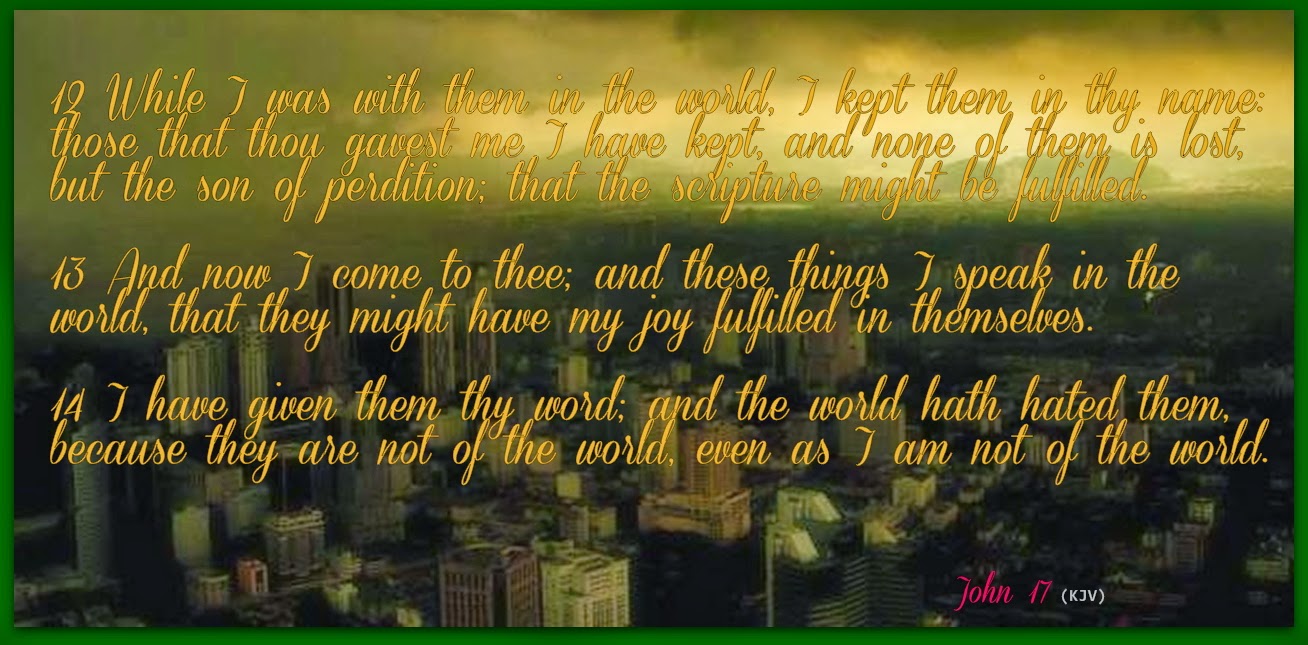 Red Pill Diaries: John 17 (KJV)