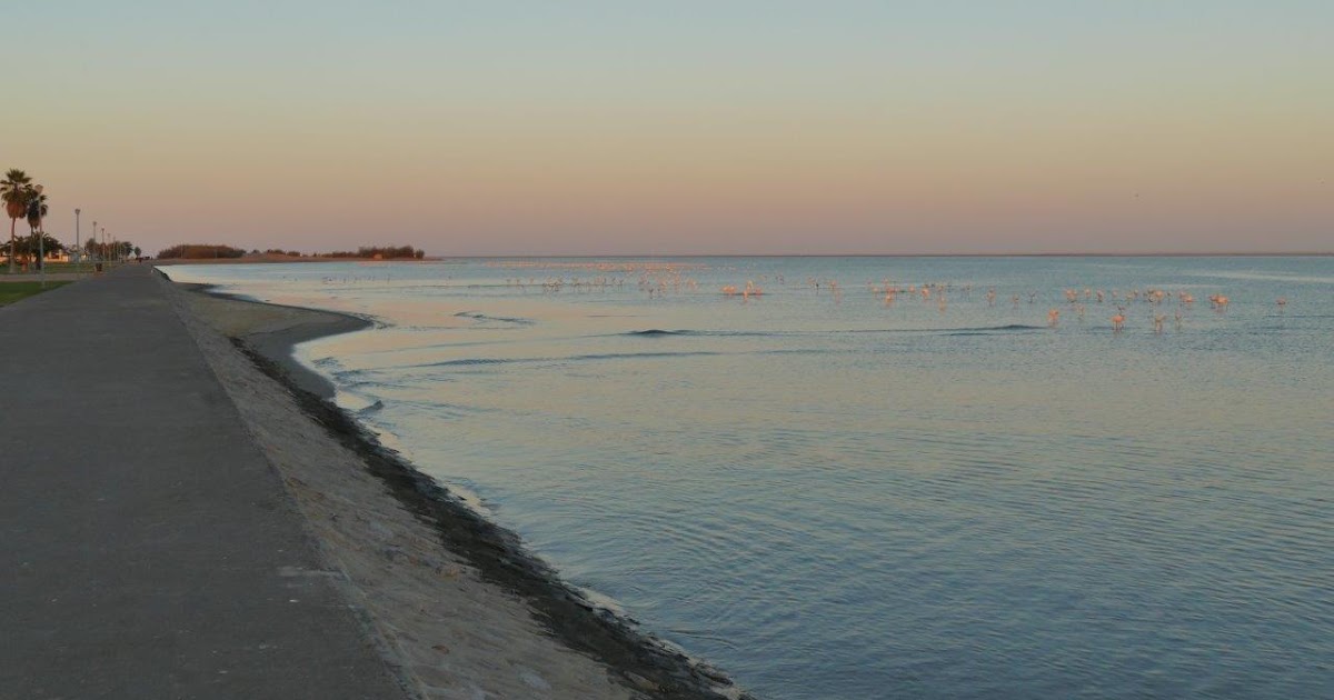 Southern Africa's Ramsar Sites: Walvis Bay (Namibia)