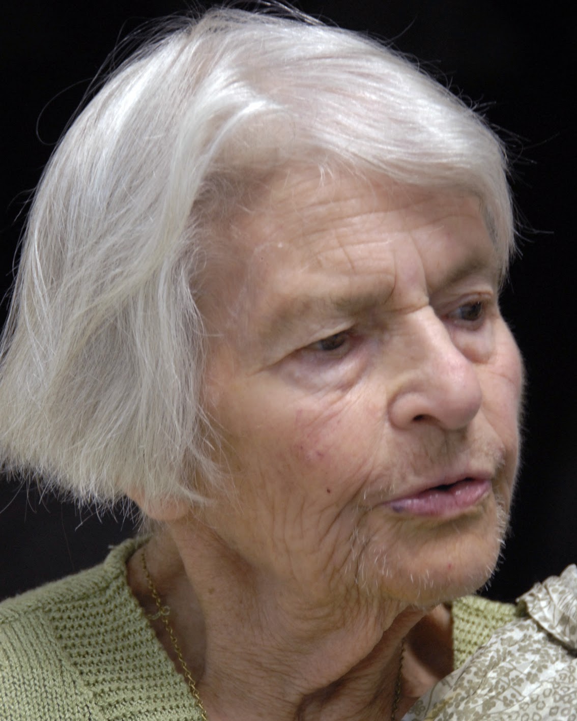 Kreativität bildender Künstler im Alter: "KÜNSTLERPORTRAITS" Eine ...