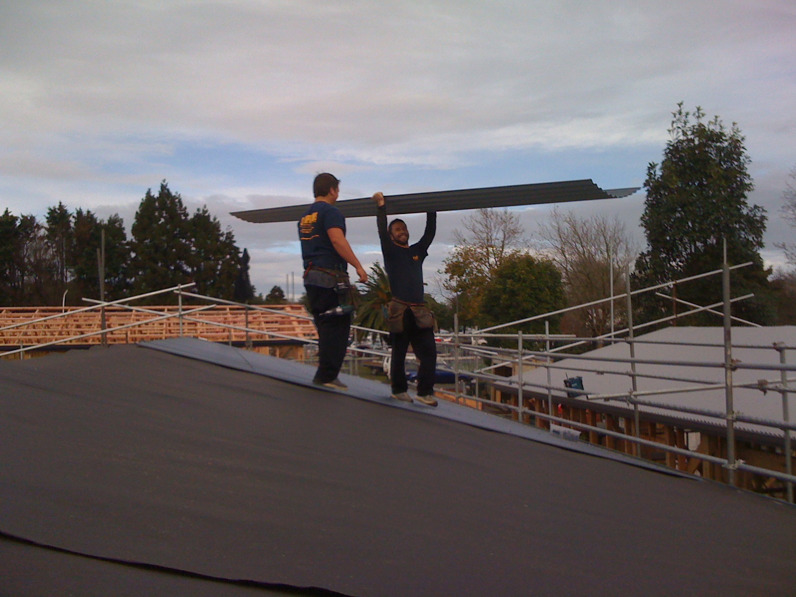 Robert Teh: week 15 unitec carpentry 29 june - 1 july 2011