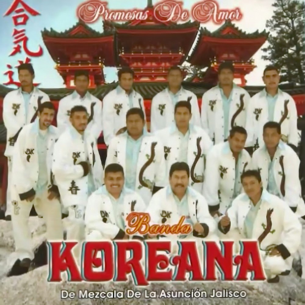 CDS DE REGALO TECNOBANDAS Y MAS DE LOS 90 : BANDA KOREANA