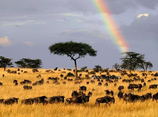 GEOGRAFÍA E HISTORIA: PAISAJES BIOCLIMÁTICOS