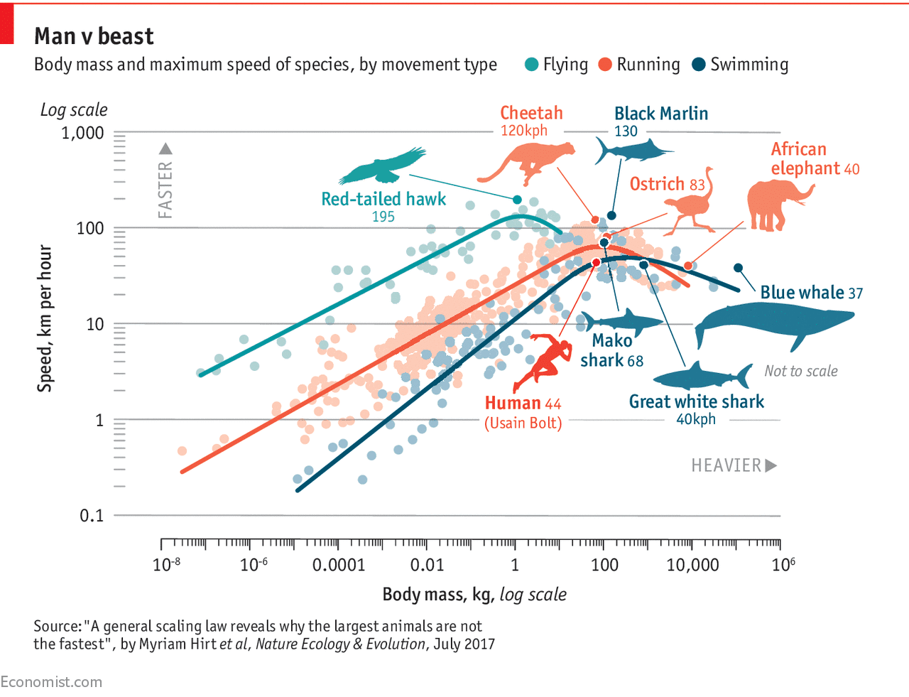 Diplomatizzando: Os animais mais rapidos do mundo: e os menos rapidos?