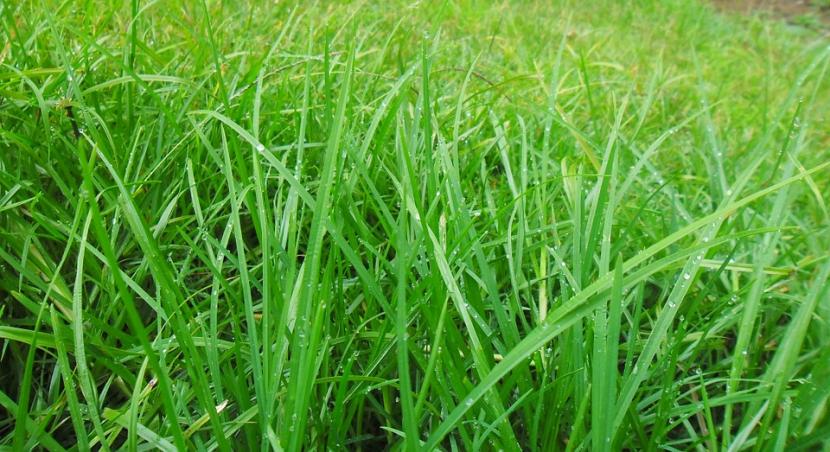 carmenvigil: CIENCIAS NATURALES 2º