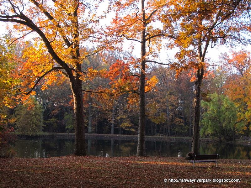 4 seasons in the life of Rahway River Park: The Park Bench
