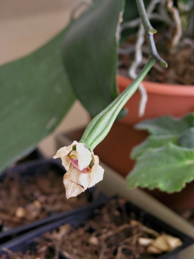 Maza Studio: September 2014