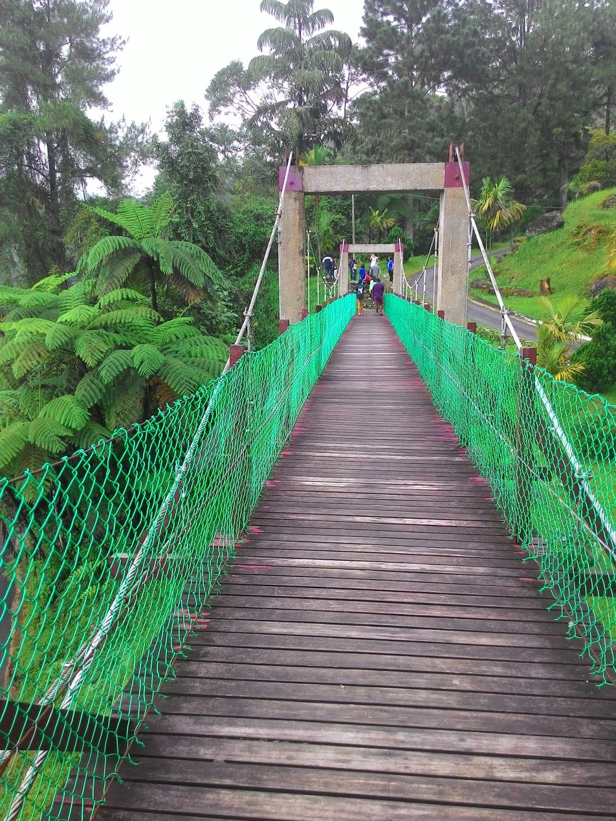 看人生 . 看世界: Maxwell Hill Accomodation - The Nest (Bukit Larut)