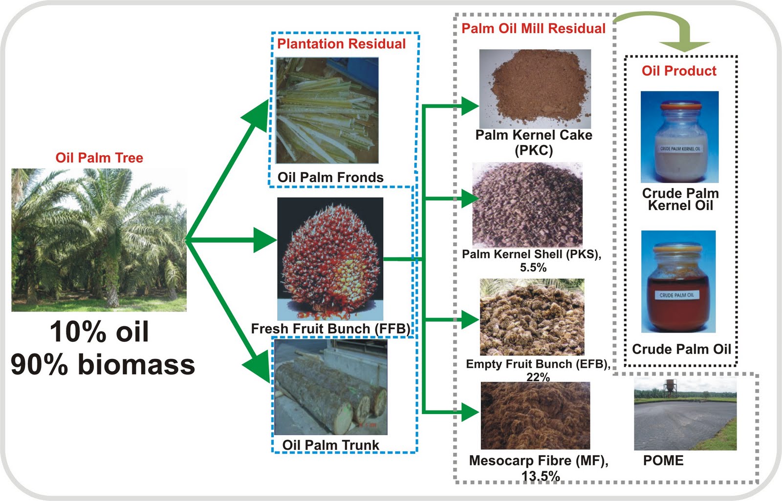 Production Made Easy: Memanen Biomethane Dari Kebun Sawit