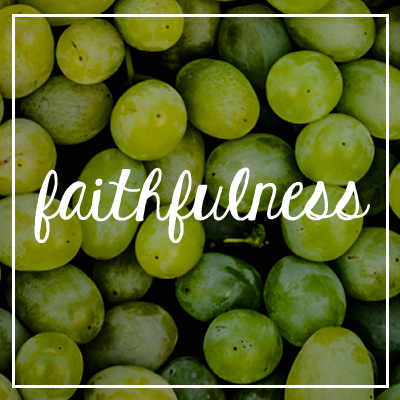 Pastor Chris' Blog: Guest Blog - Cooking With Fruit