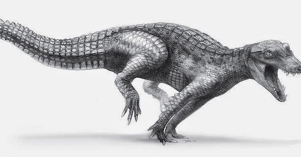 Variety of Life: Metasuchia