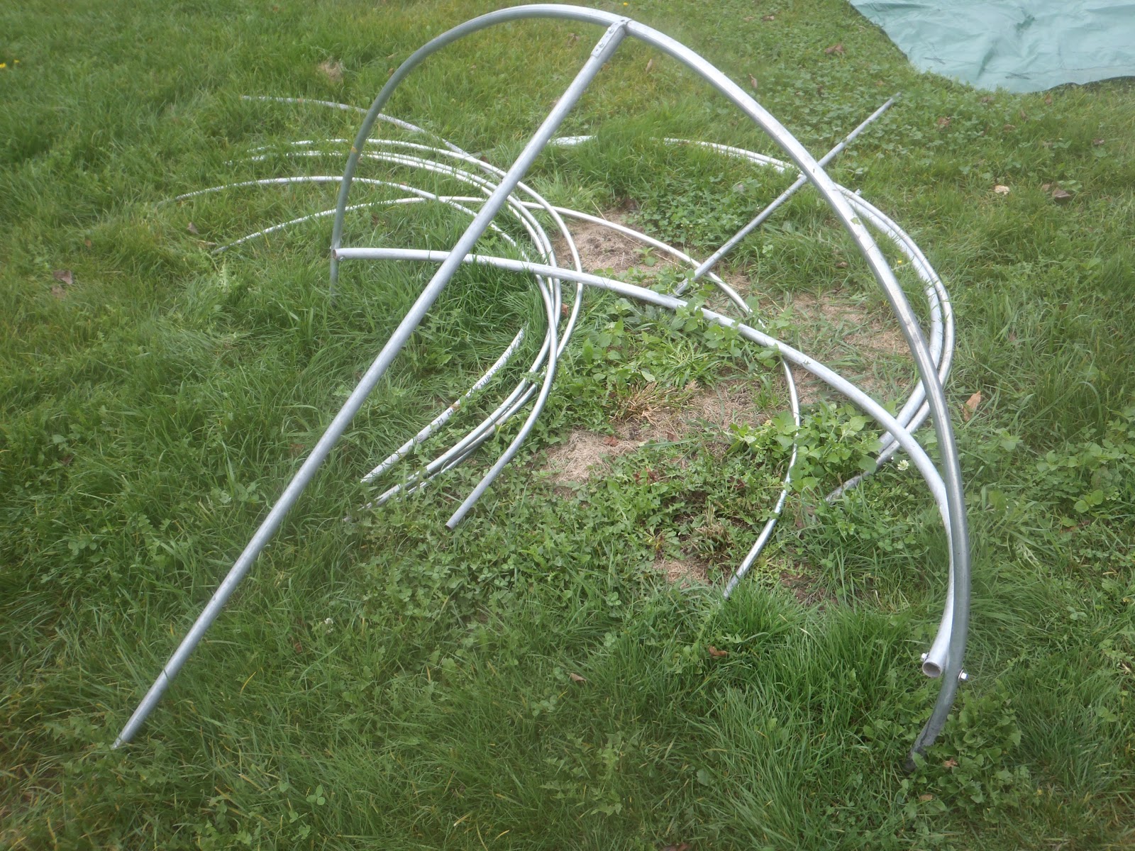 Have You Ever Picked A Carrot?: Low Tunnel Quick Hoops: Minimum expense ...