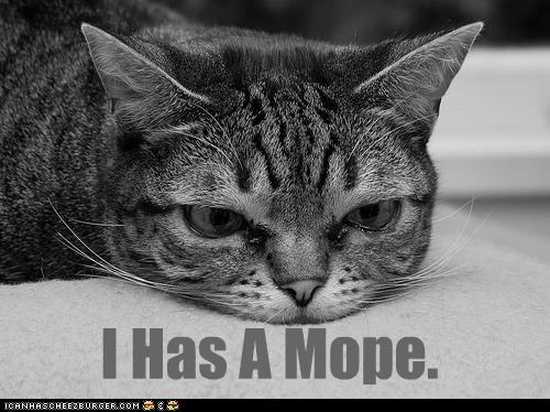 Always Drunk: Thanks, I Needed That