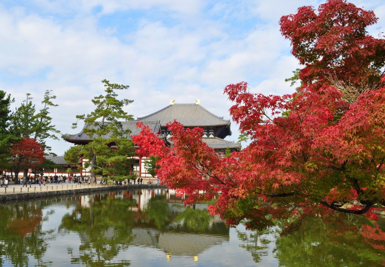 Yusuke Japan Blog: “Nara Park” is the best place to visit
