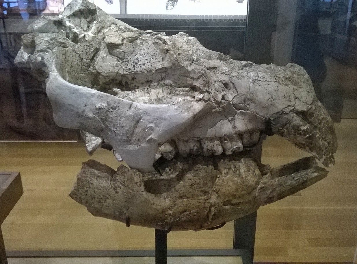 Noah's Ravens: Frederic Loomis Discovers Everything, Episode 1: Raiders ...