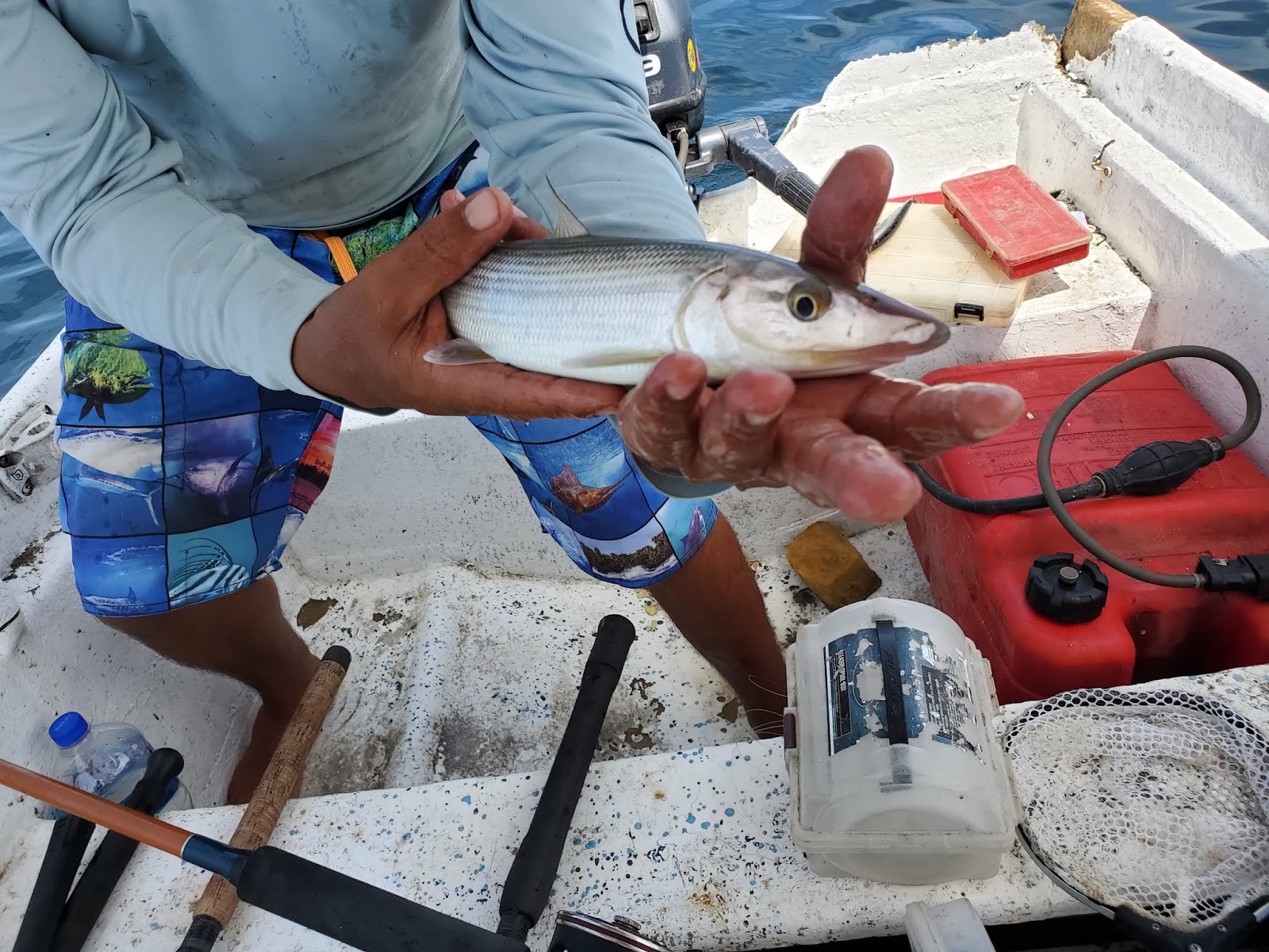 Sayulita Kayak and Surf Fishing