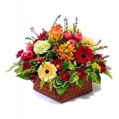 FLORILE PASIUNII: FASCINATIA FLORILOR !(imagini)