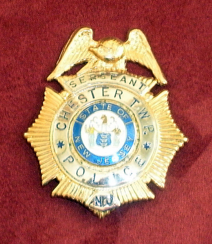 BADGE COLLECTOR: 2011